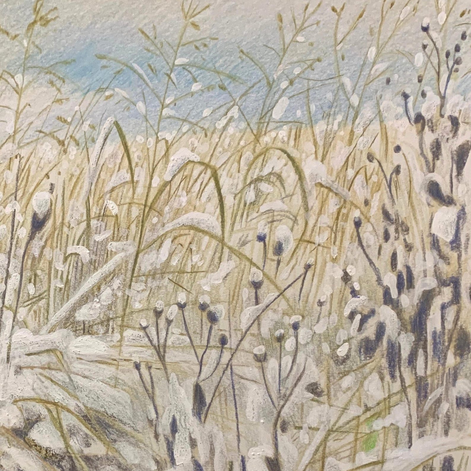 Original Pencil Drawing – Snow-covered Grasses in Winter Field ...