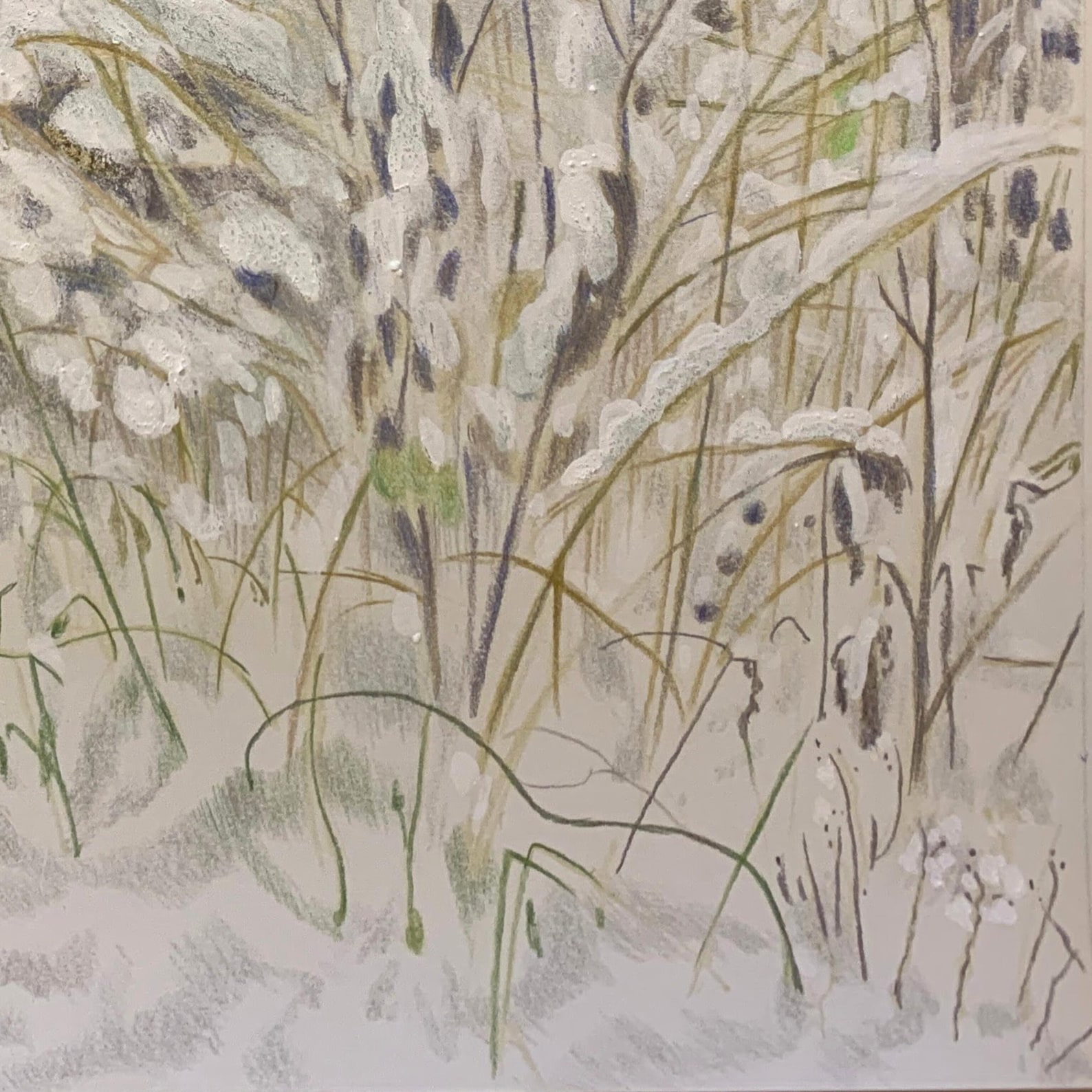Original Pencil Drawing – Snow-covered Grasses in Winter Field ...