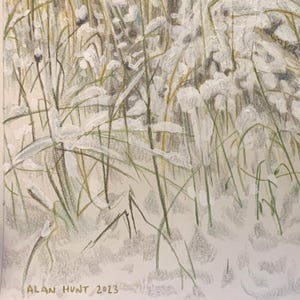 Original Pencil Drawing – Snow-covered Grasses in Winter Field ...