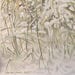 Original Pencil Drawing – Snow-covered Grasses in Winter Field ...