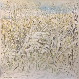 Original Pencil Drawing – Snow-covered Grasses in Winter Field ...