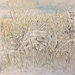 Original Pencil Drawing – Snow-covered Grasses in Winter Field ...