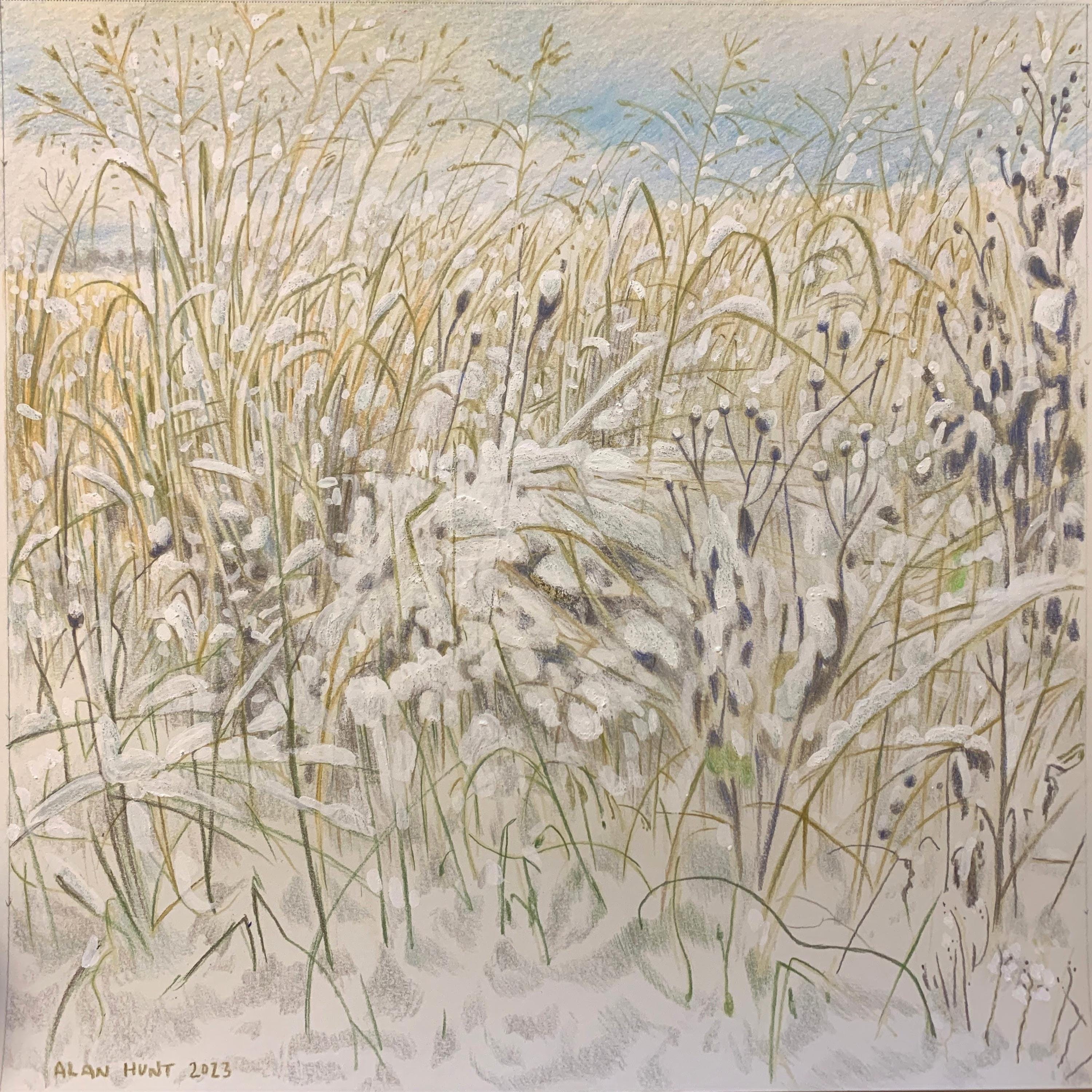 Original Pencil Drawing – Snow-covered Grasses in Winter Field ...