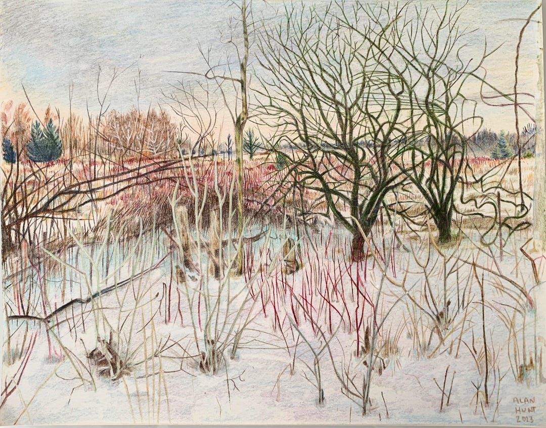 Original Pencil Crayon Drawing – Vivid Winter Landscape With Crab Apple ...