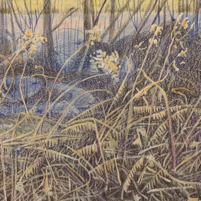 Original Pencil Crayon Landscape Drawing–serene Rural Scenery in ...