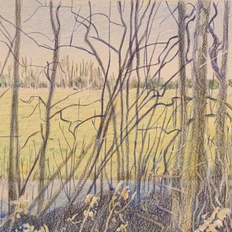 Original Pencil Crayon Landscape Drawing–serene Rural Scenery in ...