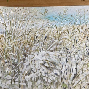 Original Pencil Drawing – Snow-covered Grasses in Winter Field ...