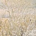 Original Pencil Drawing – Snow-covered Grasses in Winter Field ...