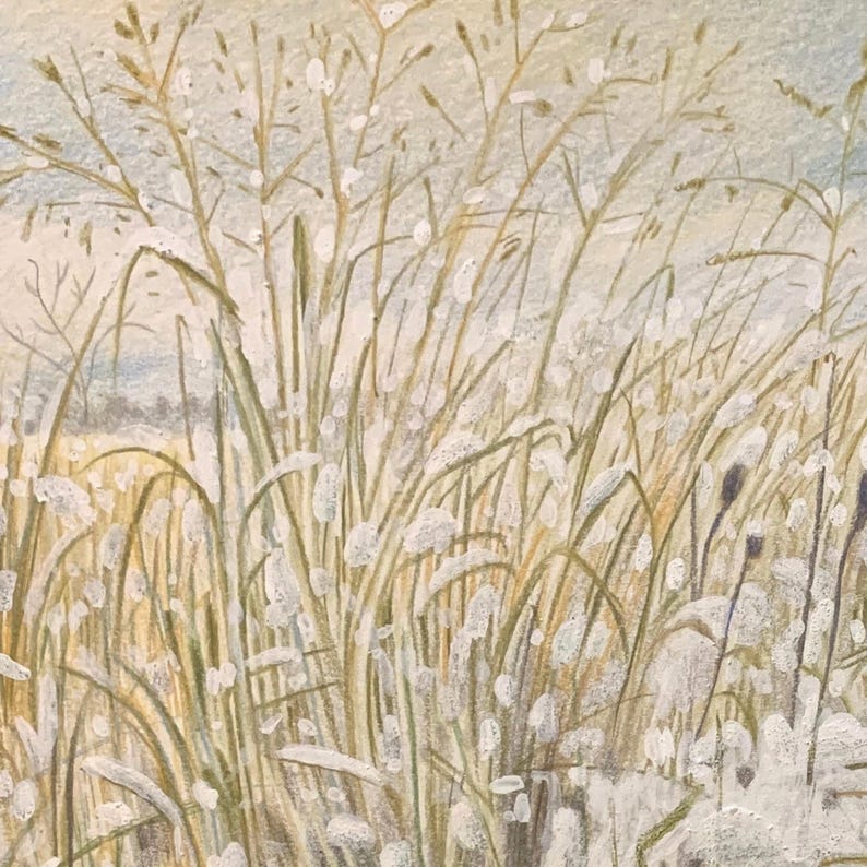 Original Pencil Drawing – Snow-covered Grasses in Winter Field ...