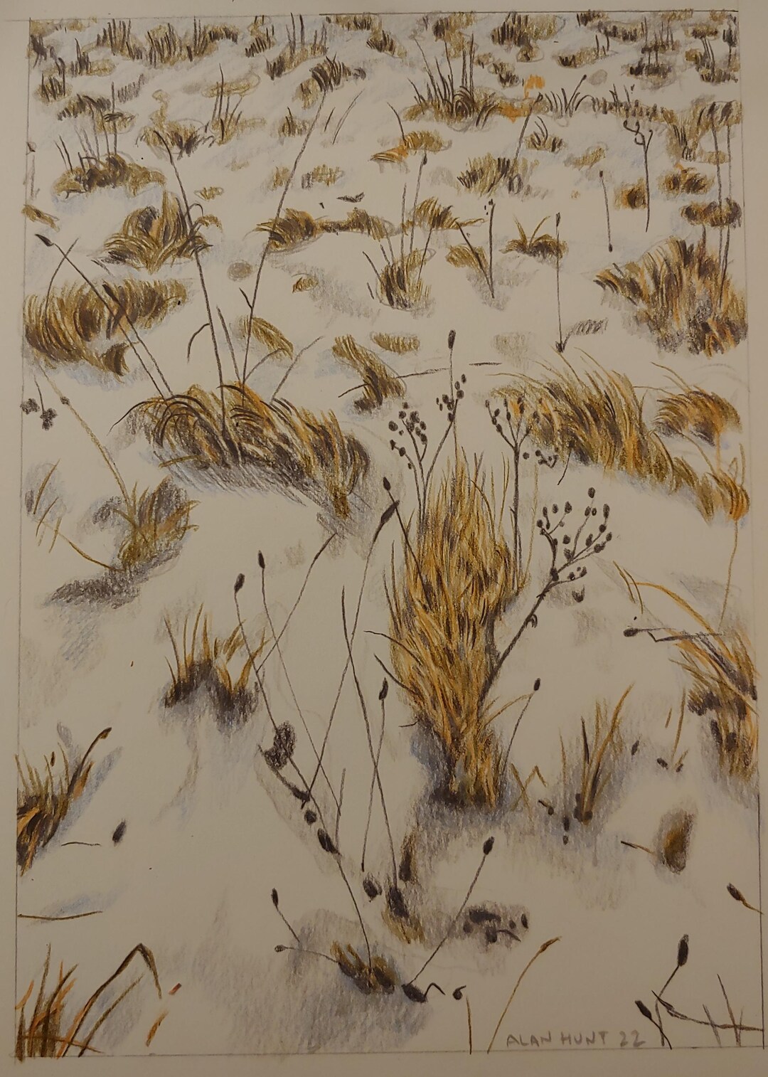 Original Pencil Drawing Snow-covered Grasses in Winter, Fine Art ...