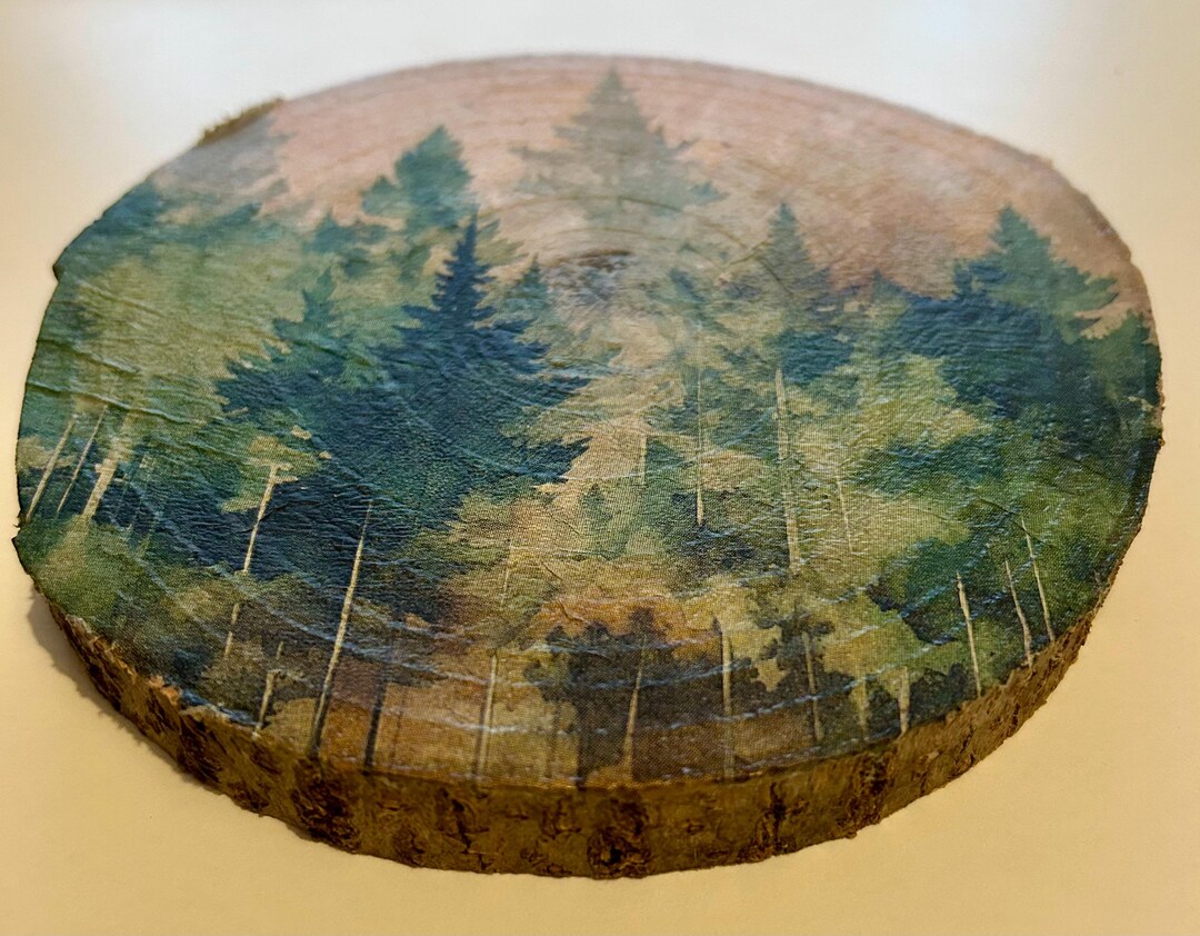 Forest Trees Small Natural Wood Slice With Bark and Finished With a ...