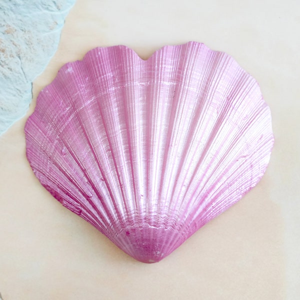 Heart Shaped Shell - Etsy