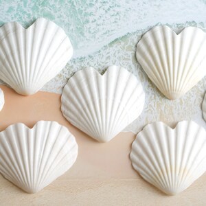 Heart Shaped Scallop Seashell, Heart Seashells for Decoupage, Crafts ...