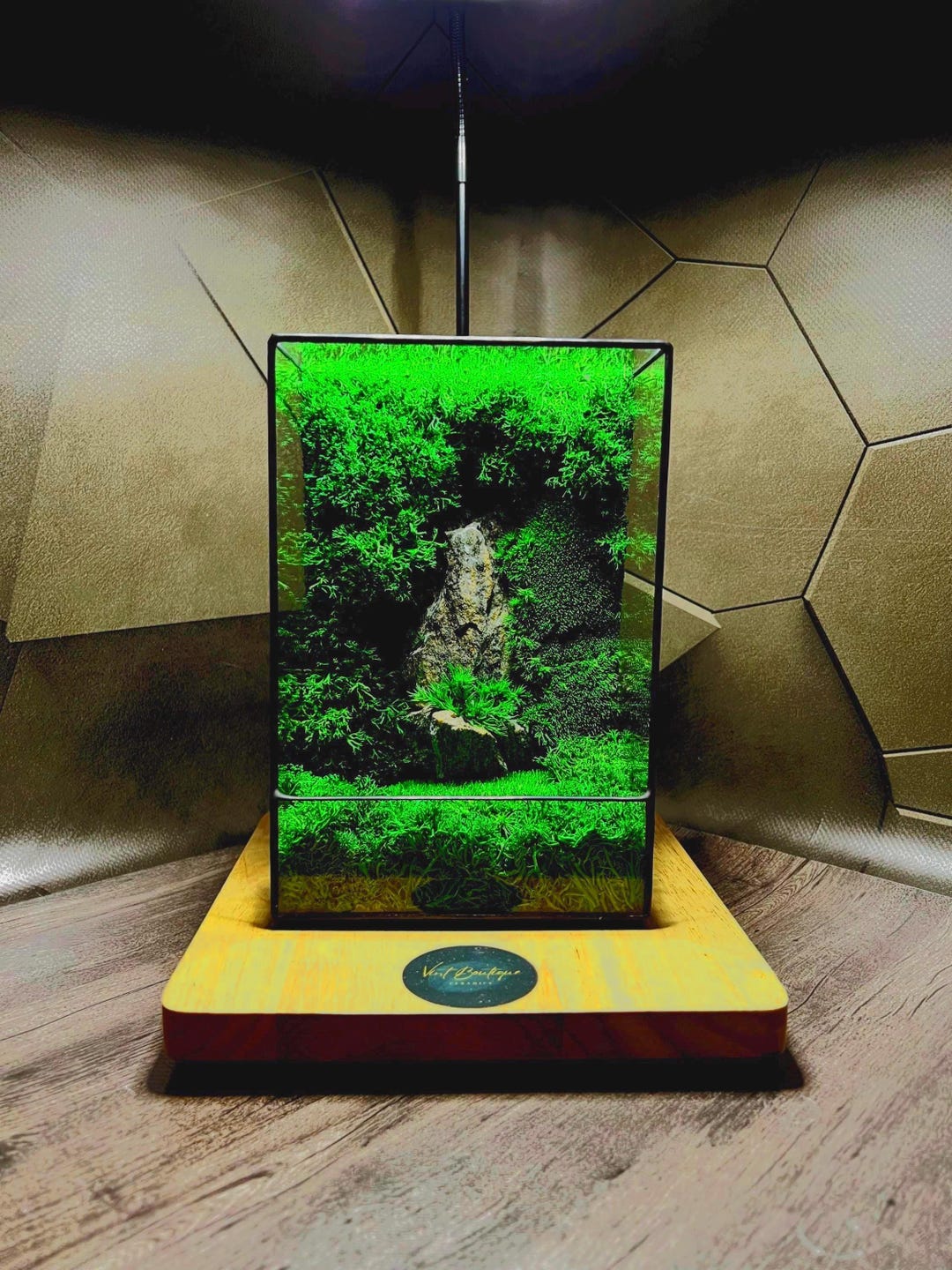 Moss Terrarium Lamp | LED Geometric Glass Light | Eco-friendly Zen Desk ...