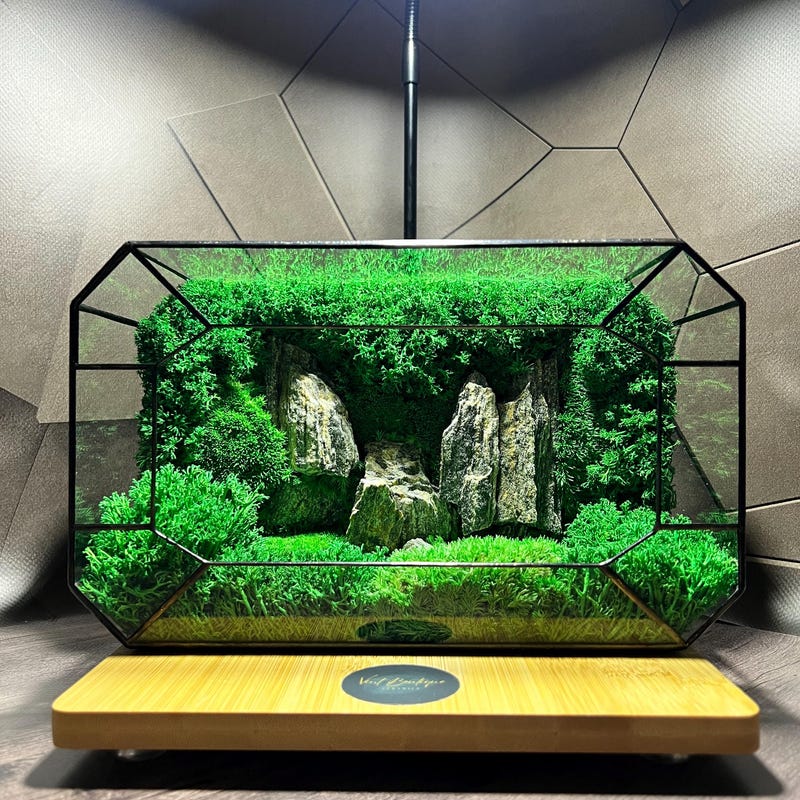 Square Terrarium - Etsy