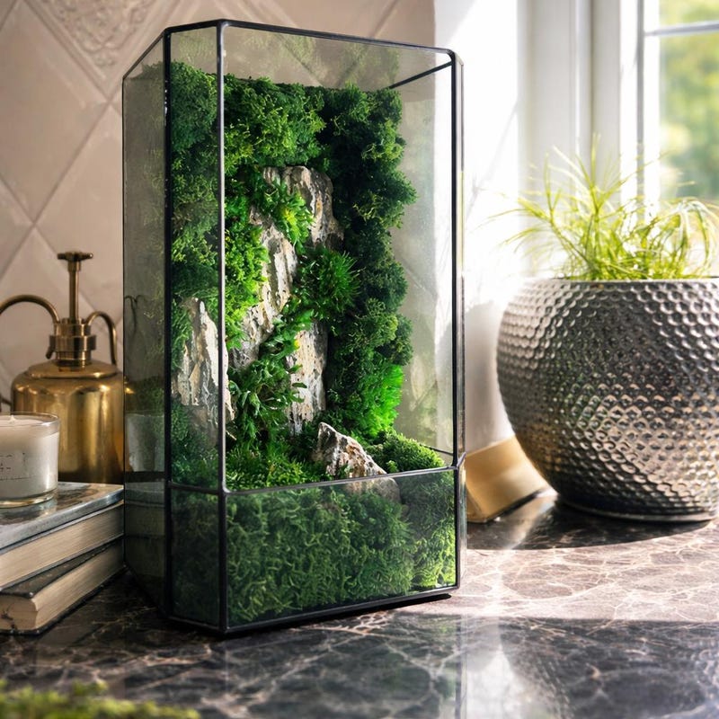 Desktop Terrarium - Etsy