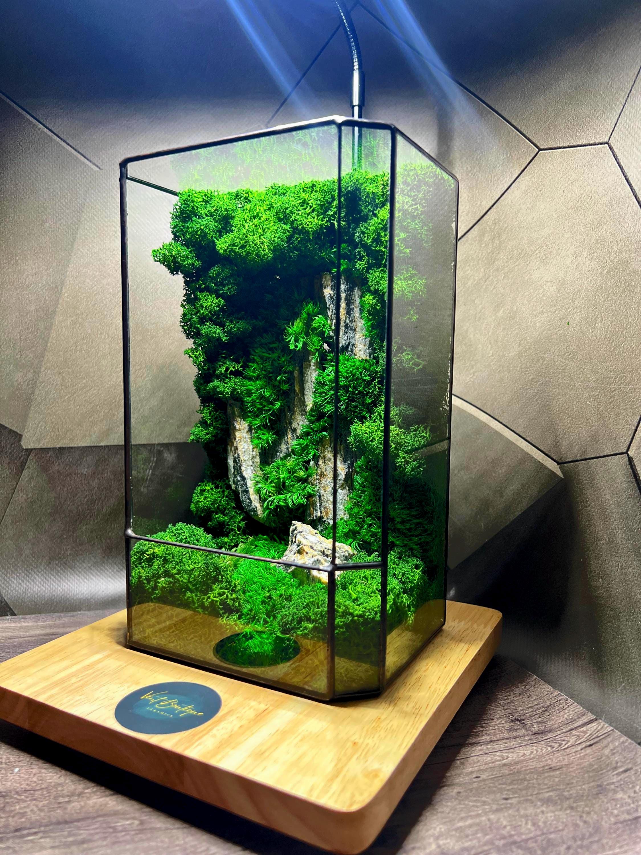 Geometric Moss Terrarium With Stone | Handmade Glass Decor | Zen Gift ...