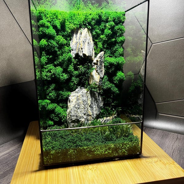 Square Terrarium - Etsy