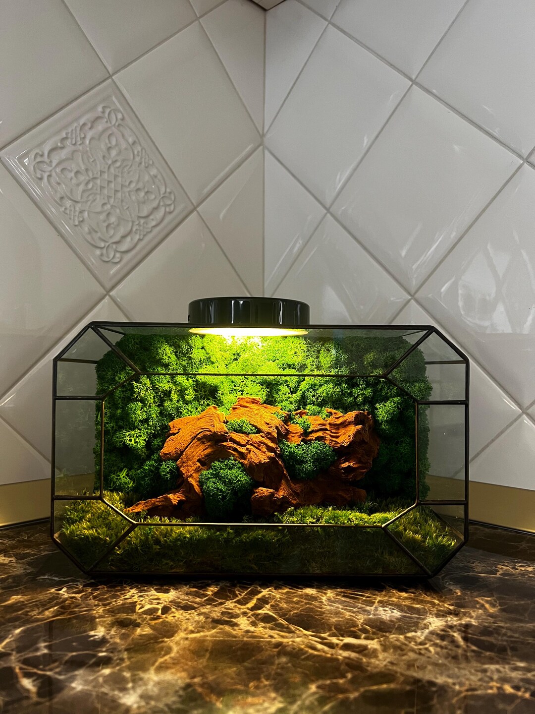 Terrarium Art Decor | Plants for Desktop | Handmade Terrarium Gifts ...