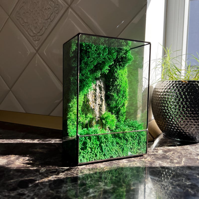 Desktop Terrarium - Etsy