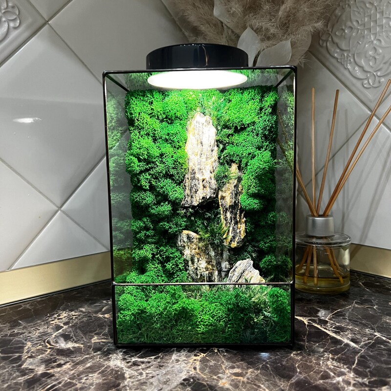 Square Terrarium - Etsy