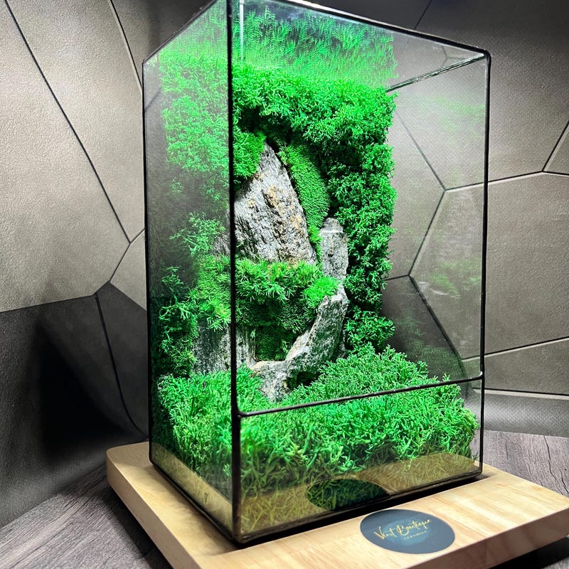 Square Terrarium - Etsy