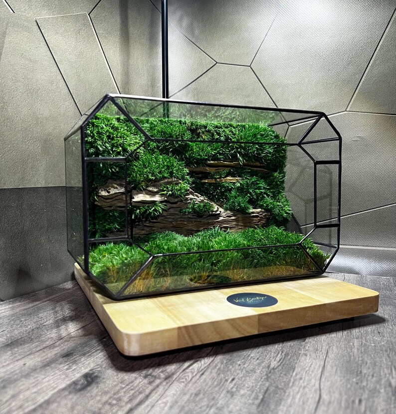 Geometric Moss Terrarium: Handmade Eco-friendly Home Decor (9.5x6x4 ...