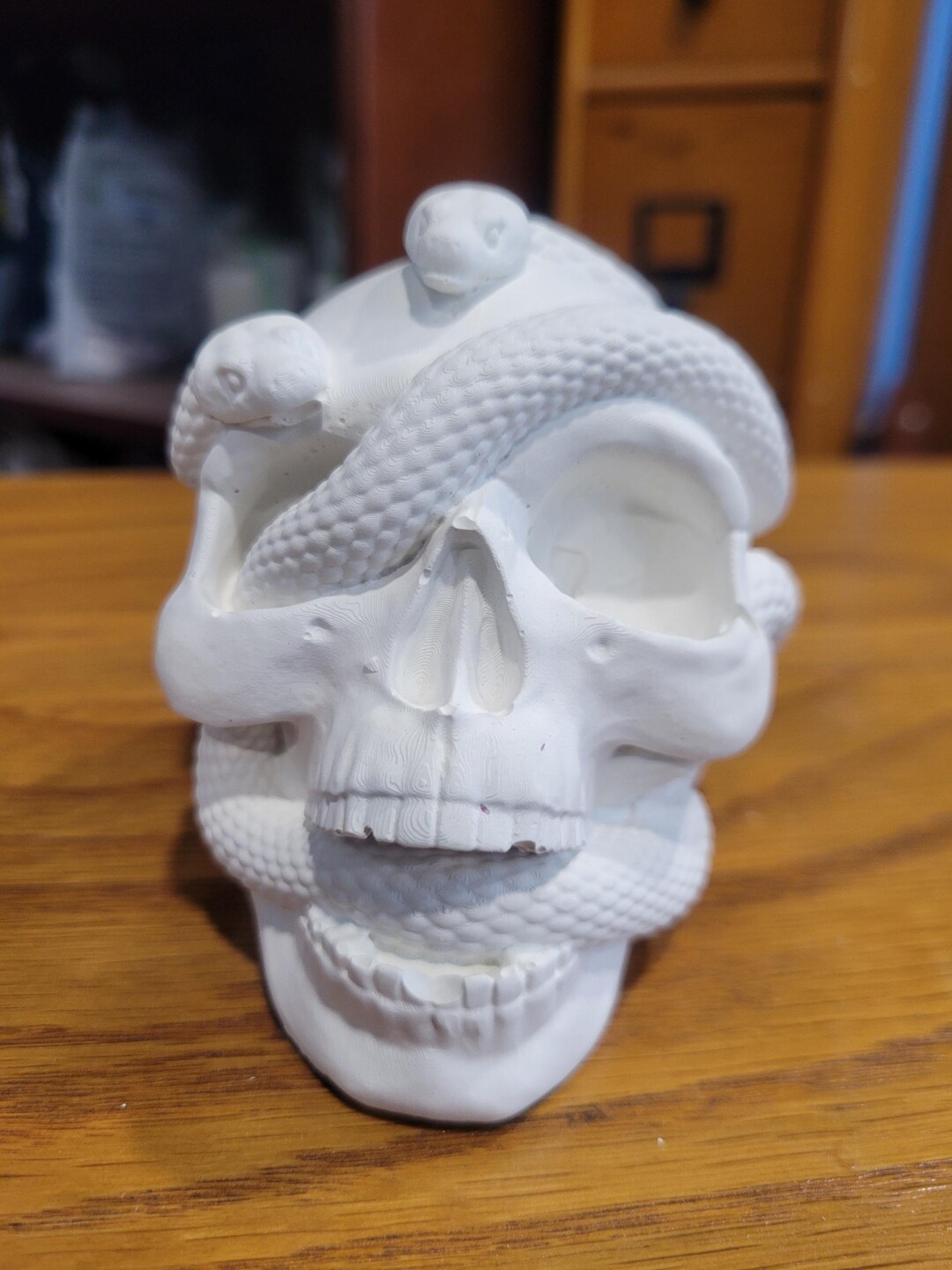 Imperfect Skull With Snakes-plaster of Paris - Etsy