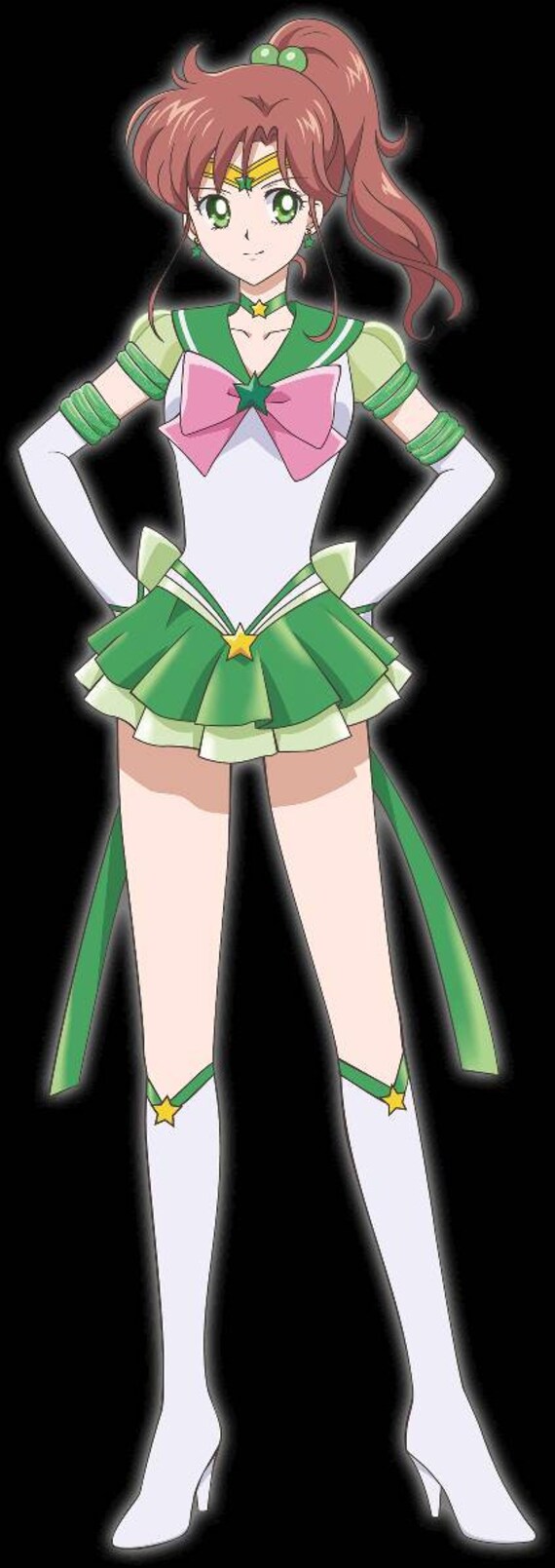 Eternal Sailor Jupiter Costume