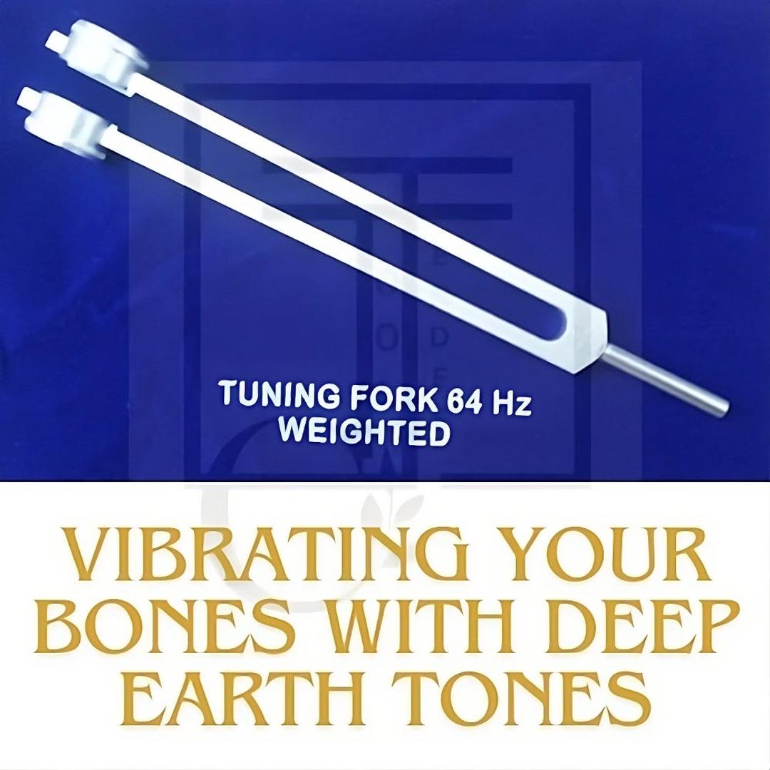 Otto Tuning Fork 64 Hz Relaxation and for Sending Vibrations Into the ...