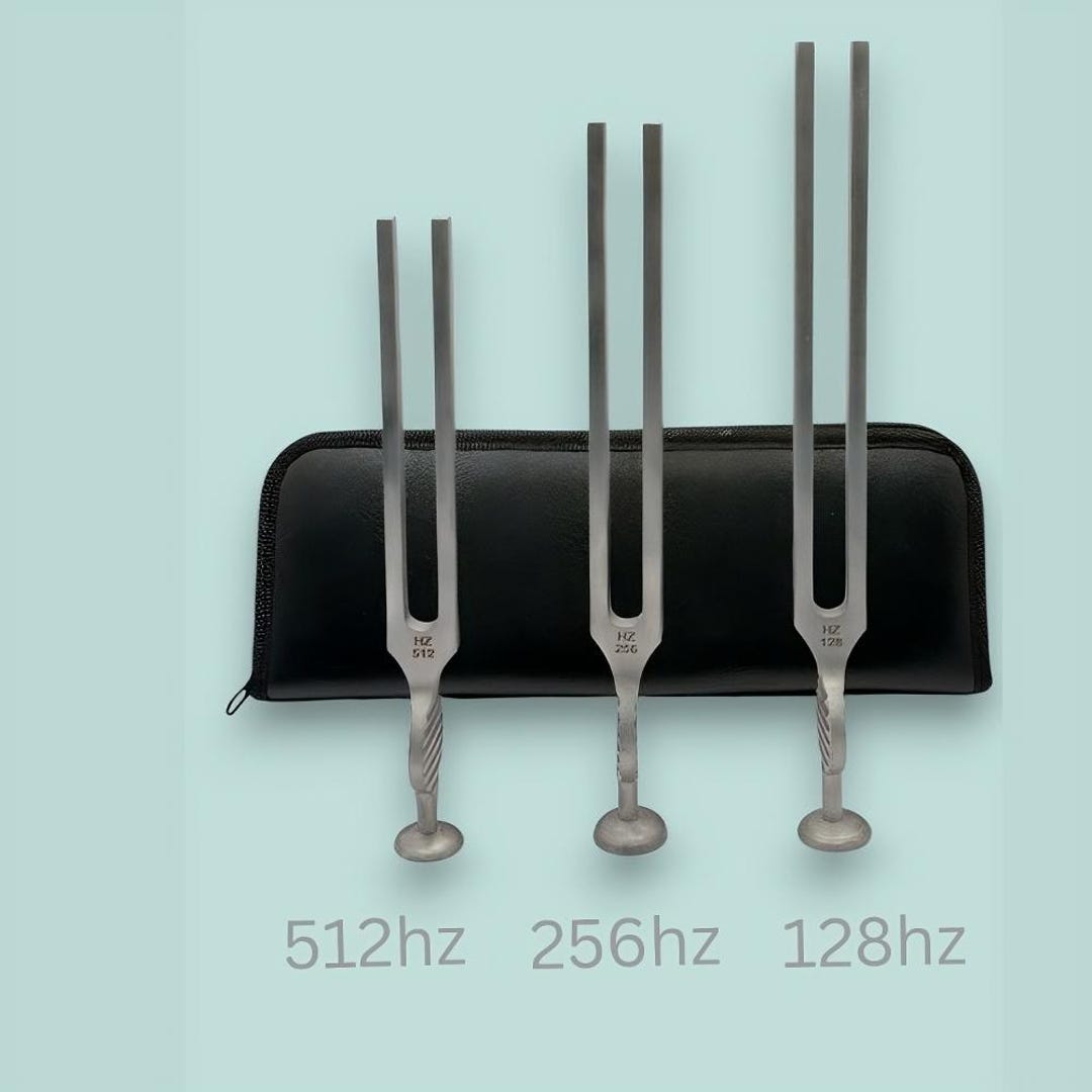 Tuning Fork - Gardiner Brown Tuning Fork 128 Hz, 256 Hz, 512 Hz Brushed Steel CE - Etsy