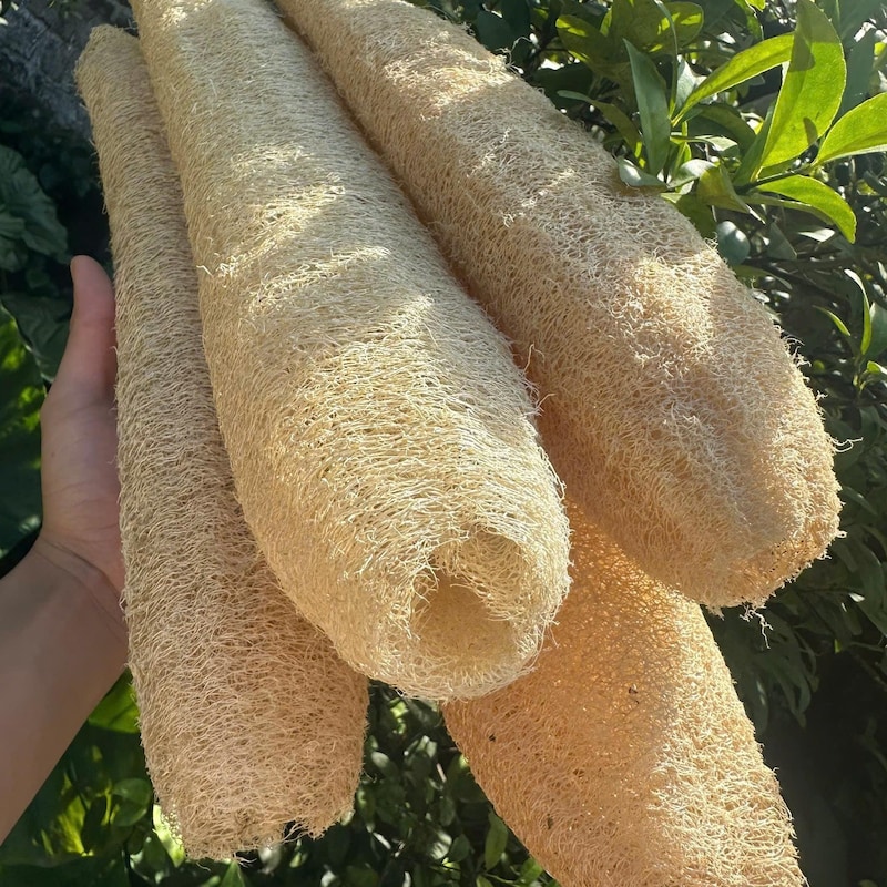 Loofah Sponge - Etsy