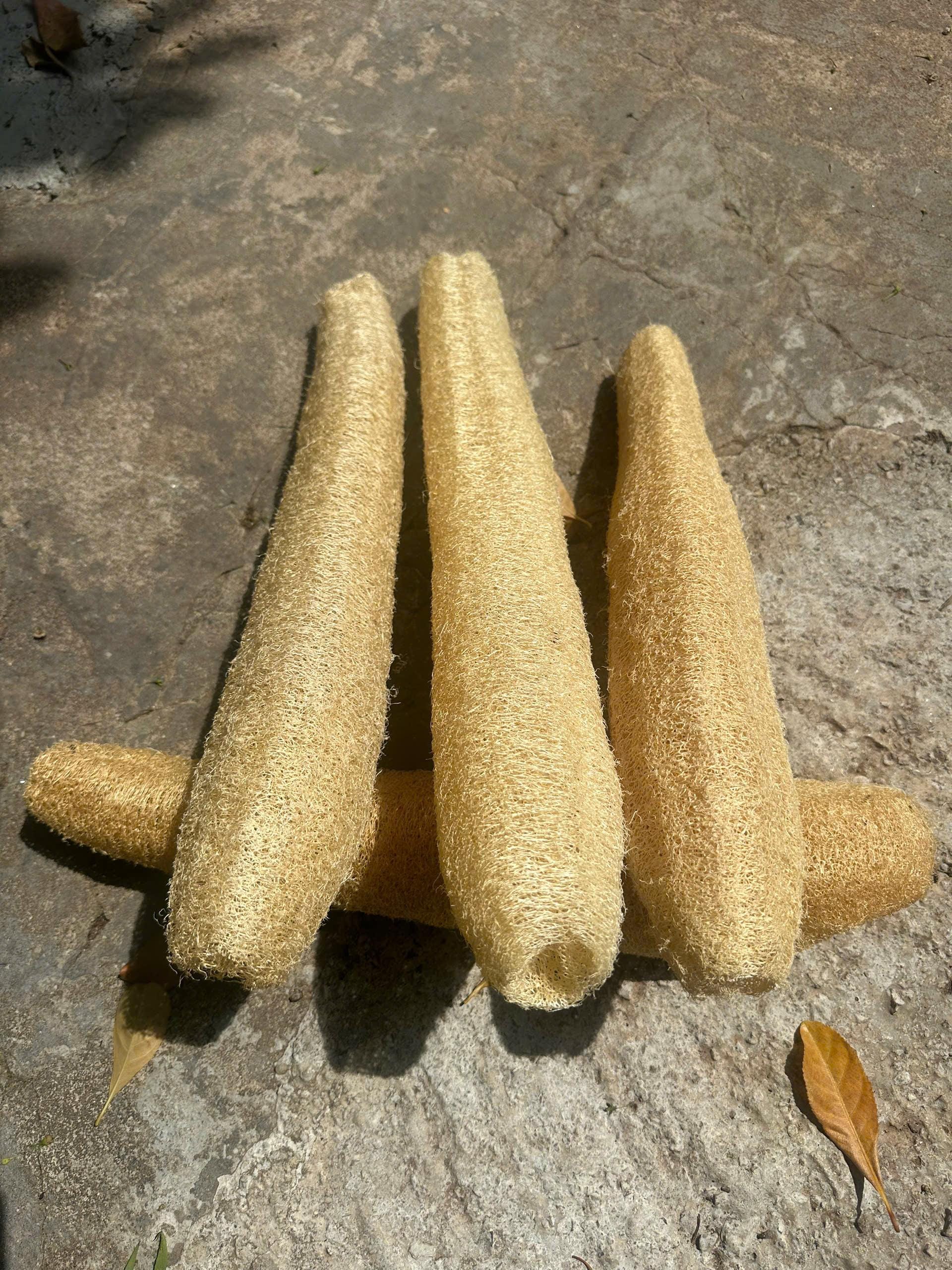 Natural Loofah, Large Whole Loofah Sponge, 100% Natural Plant Based ...