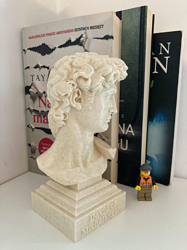 DAVID OF MICHELANGELO - Head Bust Statue. - Etsy