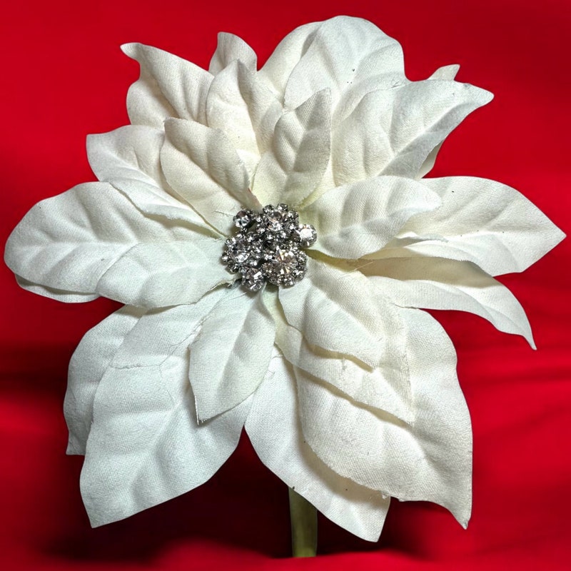 PinlessPosies - Etsy