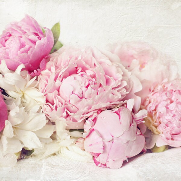 Peony Photography - Etsy