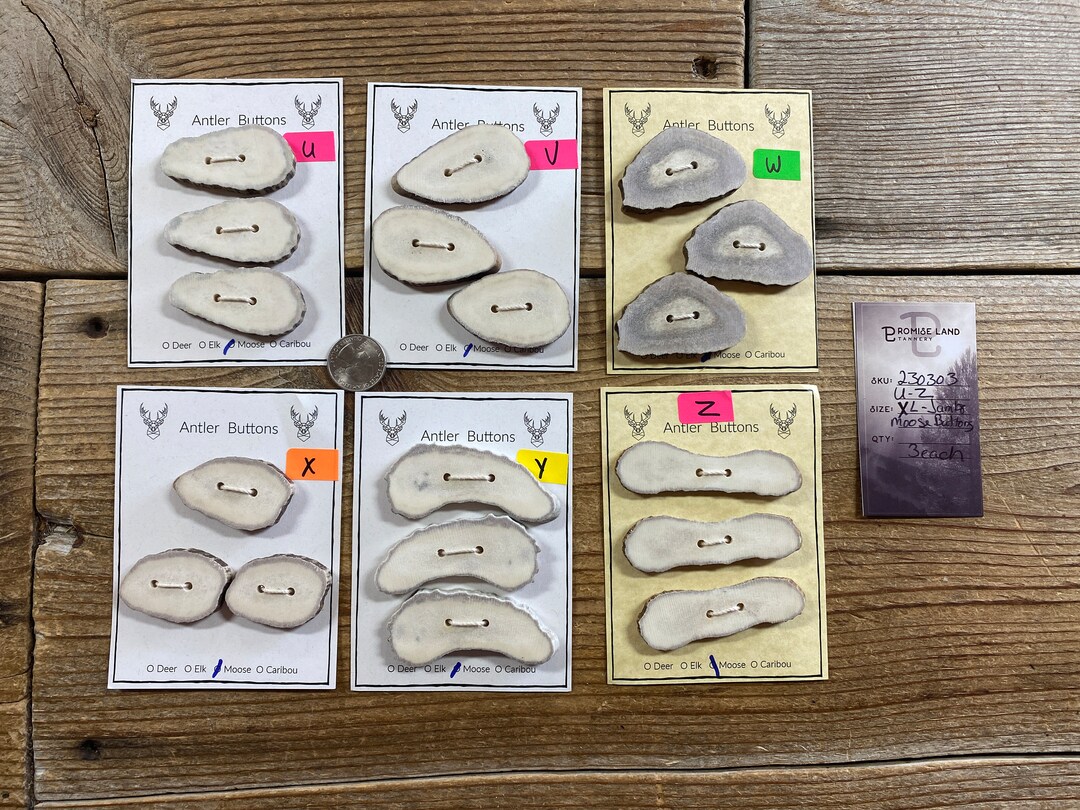 Moose Antler Buttons - Extra Large-jumbo Buttons - Choice of Card - Lot ...