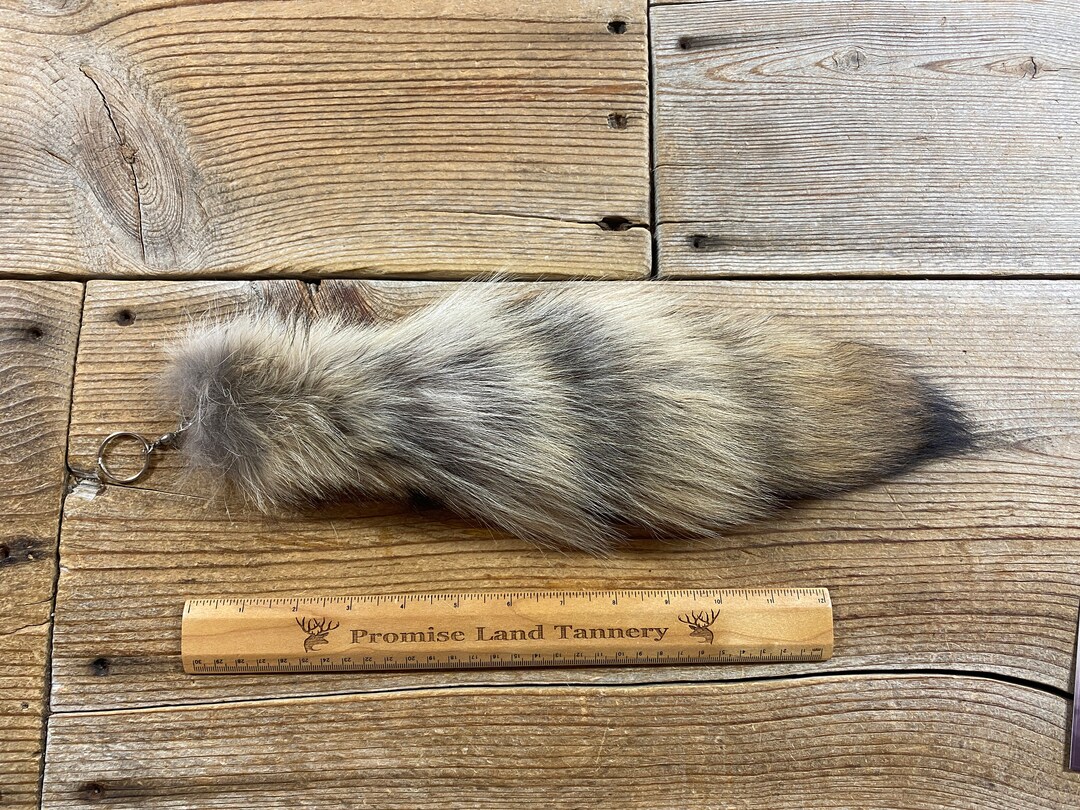 Natural Coyote Tail Key Chain - Real Fur - Lot No. 240225-G - Etsy