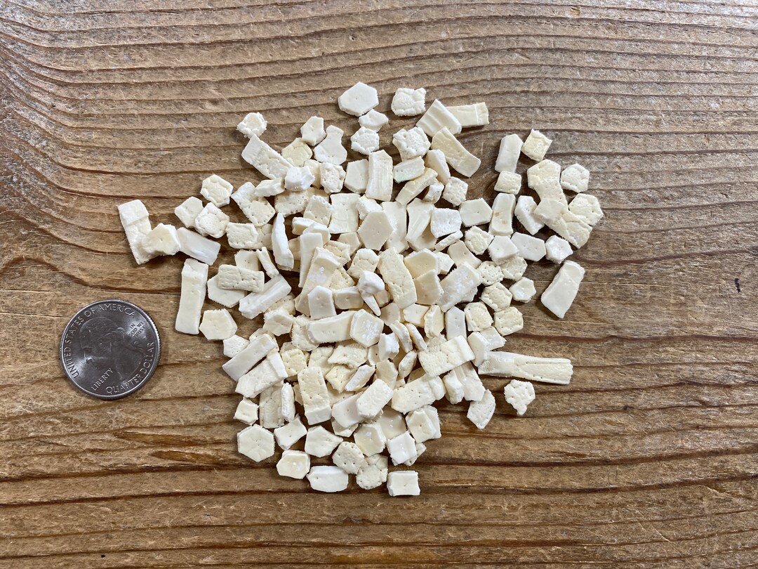 Jewelry Assortment of Armadillo Shell Bones - 30 Grams Bones - Lot No ...