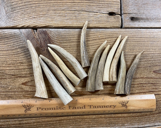 Jumbo Forked Antler Tips or Points 3 Assorted Pieces - Etsy