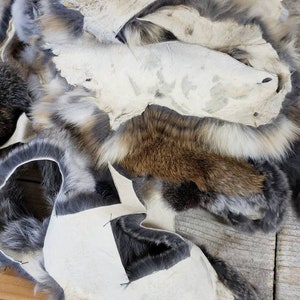 Salvaged Fur Scraps - CHOICE of Species - Red Fox Coyote Raccoon Etc - Etsy