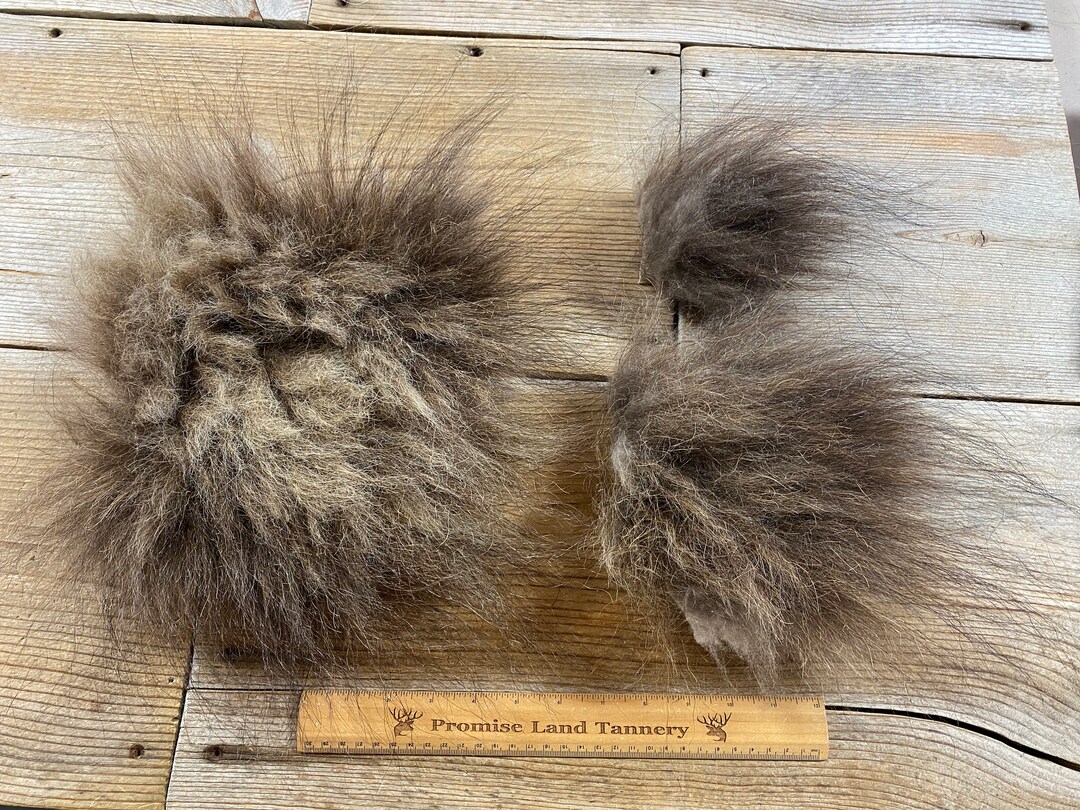 Musk Ox Hair on Hide Piece - Choice of Size - Stock No. FUR-33 - Etsy