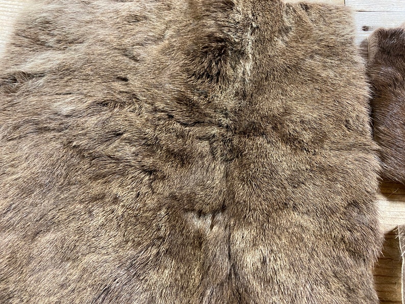 Caribou Hair on Hide Piece Choice of Size Stock No. FUR-18 - Etsy Caribou Hair on Hide Piece Choice of Size Stock No. FUR-18 - Etsy