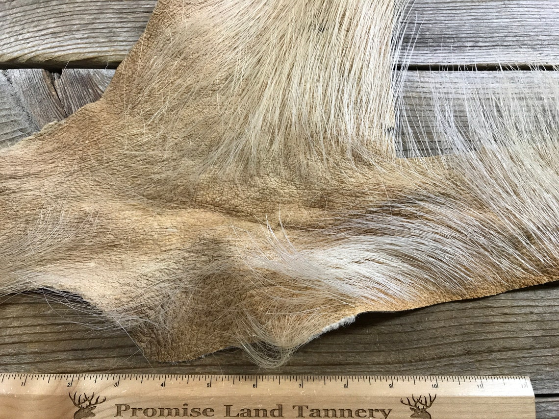 Select Domestic Pig Hide Piece 9 x 19 Inches Lot No. | Etsy