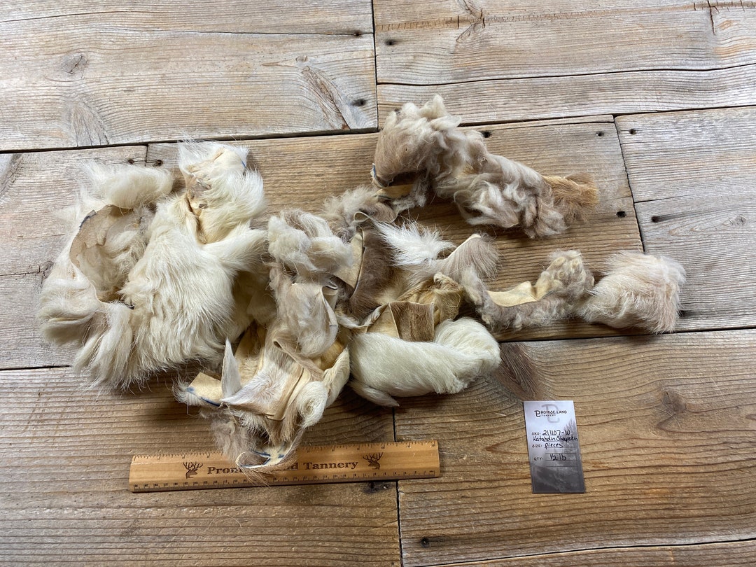 Katahdin Sheep Fur Scraps Real Fur Pieces Half Pound Bag Lot No. 211107 ...