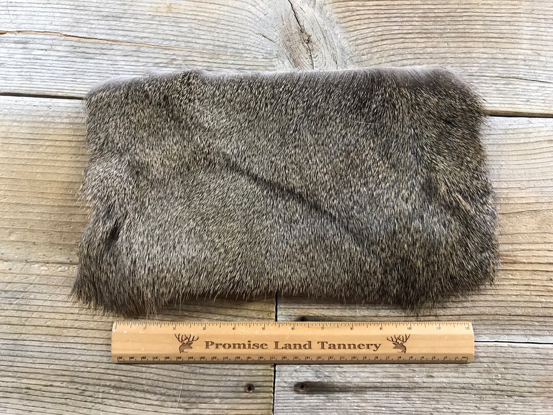 Mule Deer Hide Fur Piece 6 X 12 Inch Piece Lot No. - Etsy