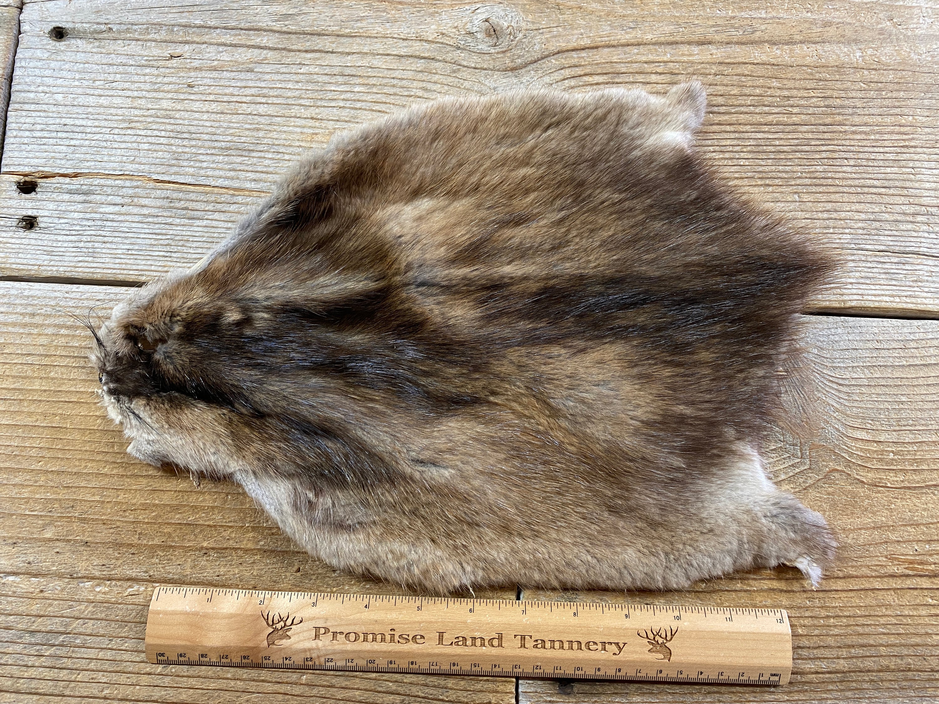 Northern Muskrats FREE SHIPPING Jewelry & Beauty Craft Supplies & Tools ...