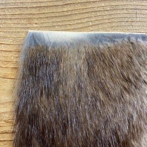 Muskrat Hair on Hide Piece - Choice of Size - Stock No. FUR-54 - Etsy
