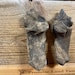 Lot of 2 Fossil Bison Calcaneus Bones - Nebraska - Lot No. 211028-T - Etsy