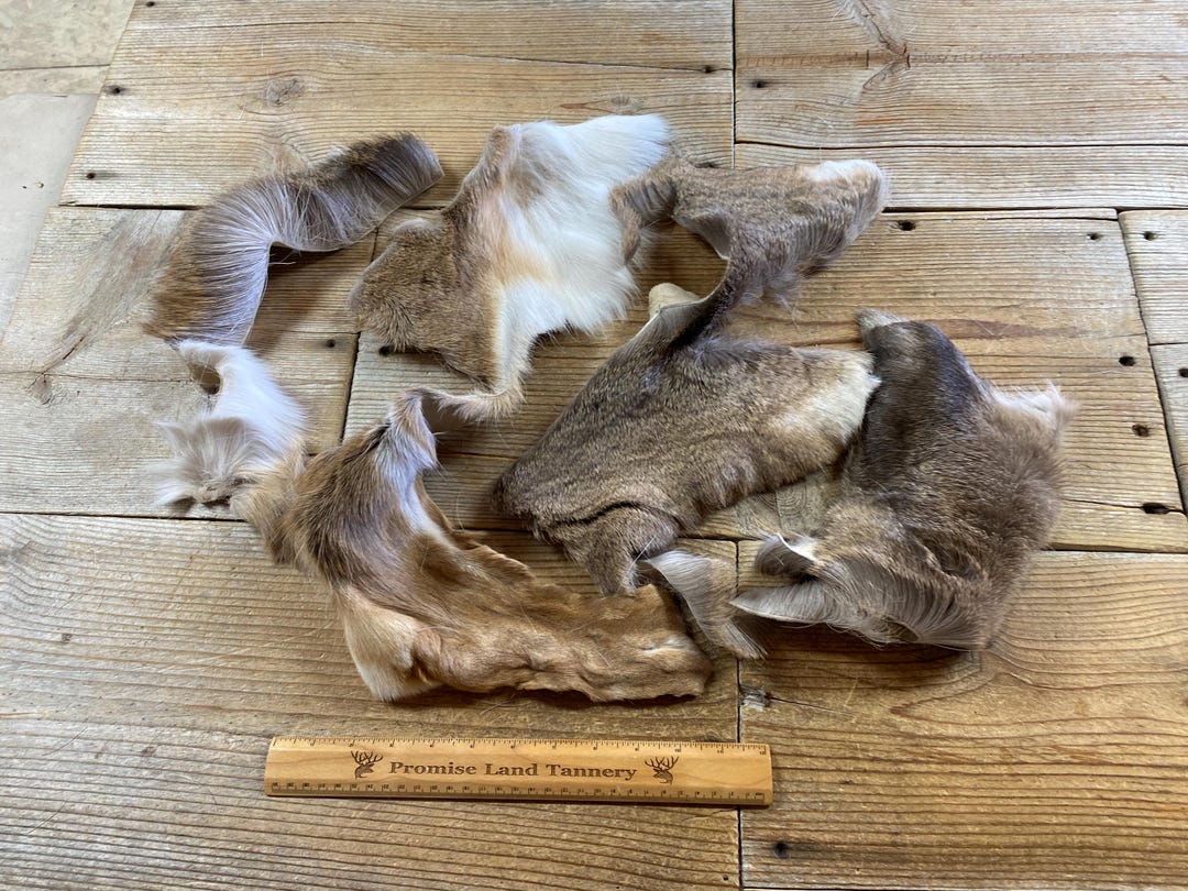 Whitetail Deer Hair on Hide Scrap Pieces Lot No. 2404530-GGG - Etsy